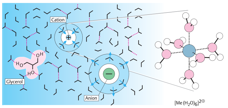 Water as a Solvent, pH, Acids, and Bases: Essential Biochemistry Concepts