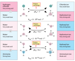 Water as a Solvent, pH, Acids, and Bases: Essential Biochemistry Concepts