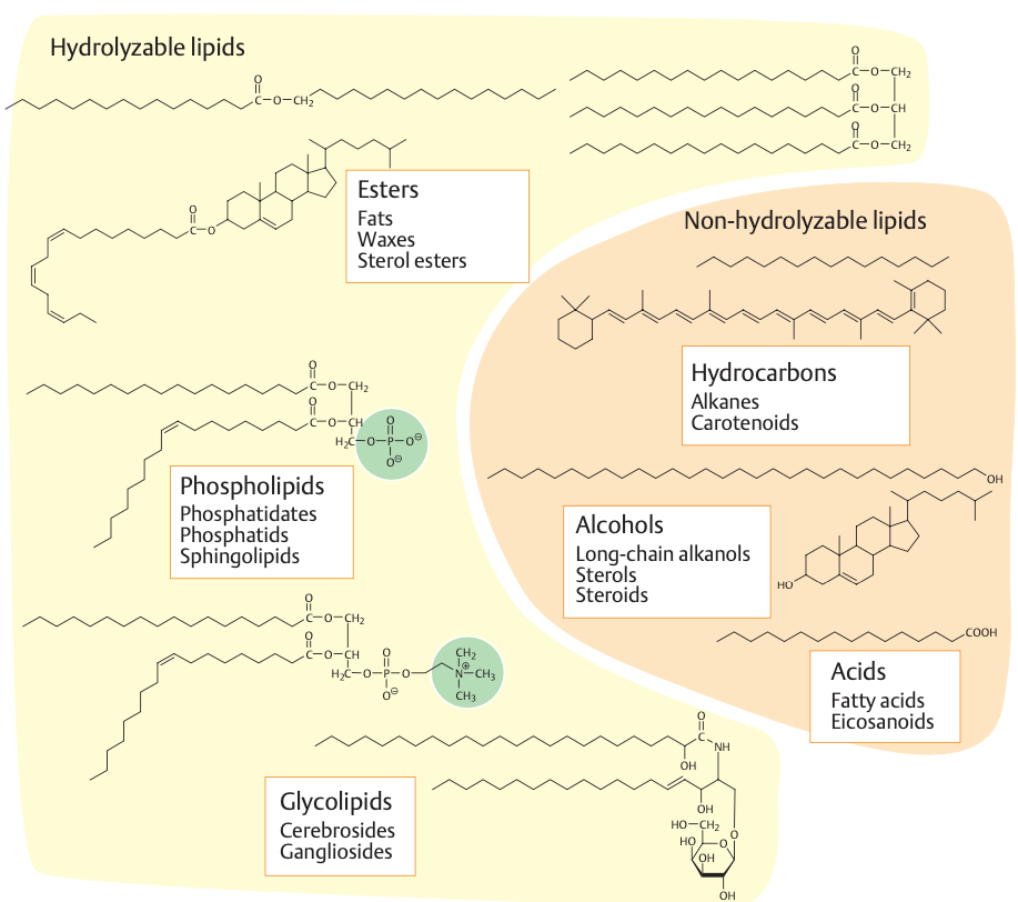 Chemistry of Lipids Biochemistry Notes
